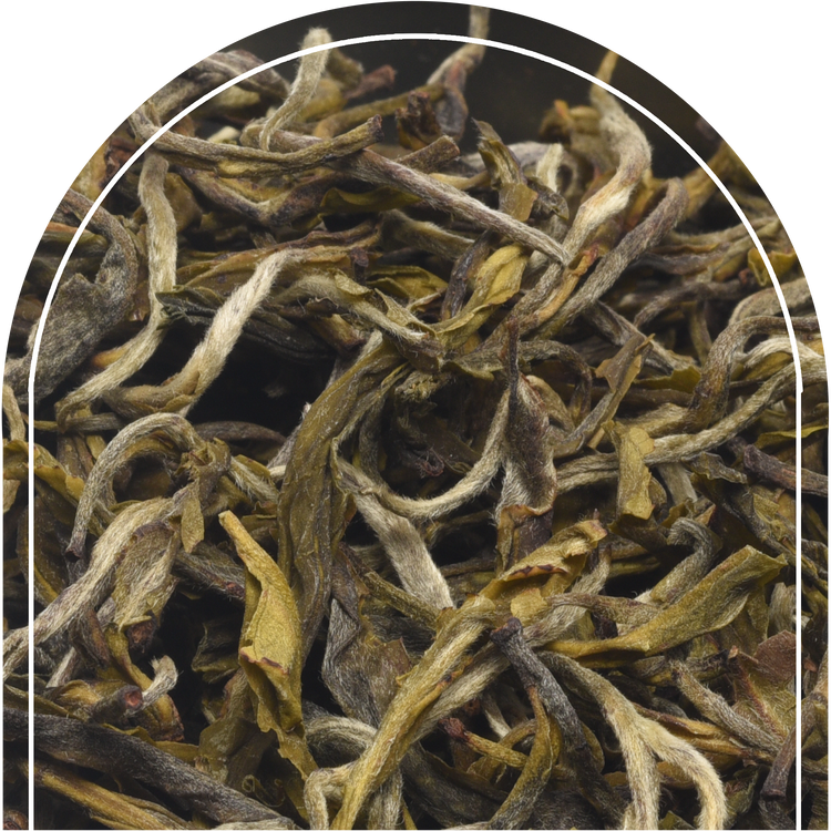 All Teas – Chado Tea